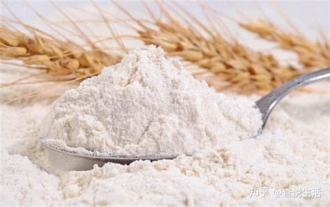 米饭和馒头哪个更养胃？今天终于有答案了！ 知乎