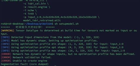 Error Network Has Dynamic Or Shape Inputs But No Optimization