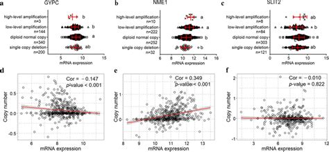 Correlation Analysis Between Gene Copy Numbers And Mrna Expression