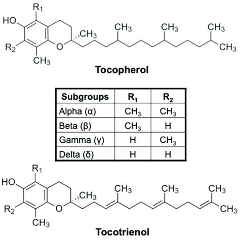 Chemical Structures Of Tocopherol And Tocotrienol The Different