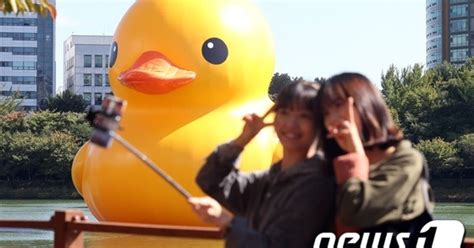 [단독]러버덕 8년 만에 한국 돌아온다 9월 말 석촌호수 전시