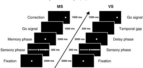 Figure 1 From The When And Where Of Spatial Storage In Memory Guided Saccades Semantic Scholar