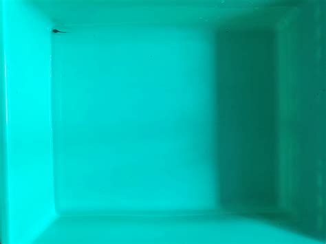 Counting Yolo Roboflow Universe