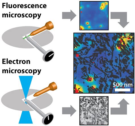 Researcher Precisely Tracks Movements Of A Single Catalyst Particle