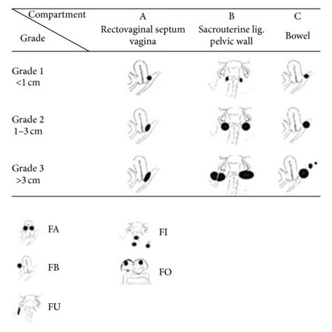 Patients Described By The Enzian Classification Download Scientific Diagram