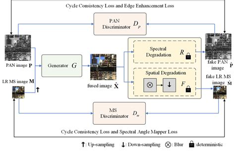 Overview Of The Proposed Sd Cyclegan In This Cyclegan Based Framework