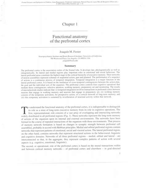 Pdf Anatomy Of The Prefrontal Cortex