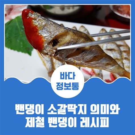 밴댕이 소갈딱지의 의미와 유래 밴댕이 제철맞이 밴댕이 회무침 레시피 네이버 블로그