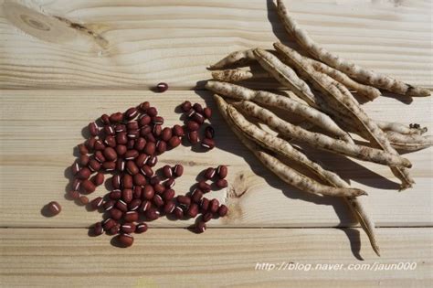 팥 꼬투리 따는 재미 검정팥 붉은팥 네이버 블로그