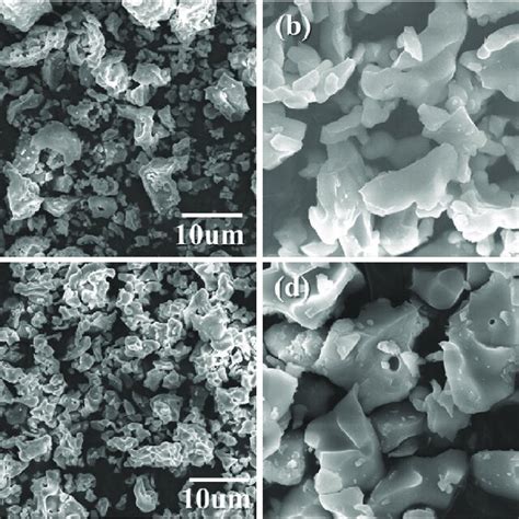 EDX spectra of a HA and b β TCP powders synthesized at and Download Scientific Diagram