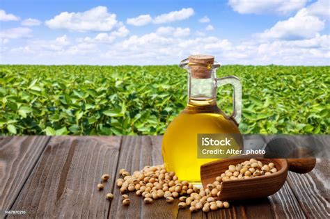 테이블에 콩 씨앗이 있는 주전자에 담긴 콩기름과 배경에 녹색 농업 분야 0명에 대한 스톡 사진 및 기타 이미지 0명 건강한