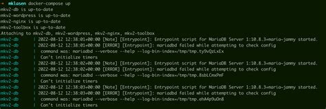 Mariadb In Docker Fails To Start Keeps Restarting Marinus Klasen