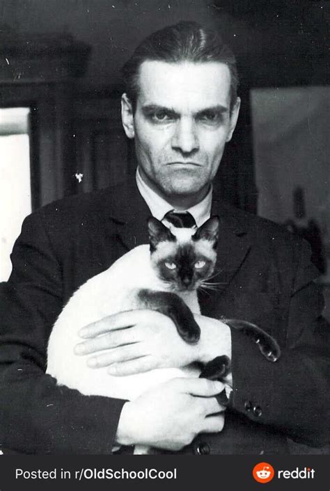 Maya Script Decoder 19531992 Roldschoolcool