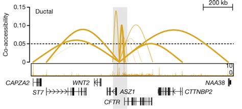 Linkplot Link Size And Color · Issue 1412 · Stuart Labsignac · Github