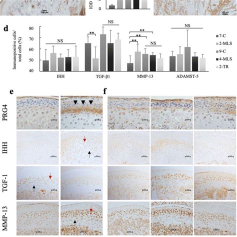 A The Representative Immunostaining Section For The Measurement Of Iod Download Scientific