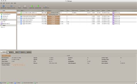 Deluge Torrent Client Windows Hooliboard