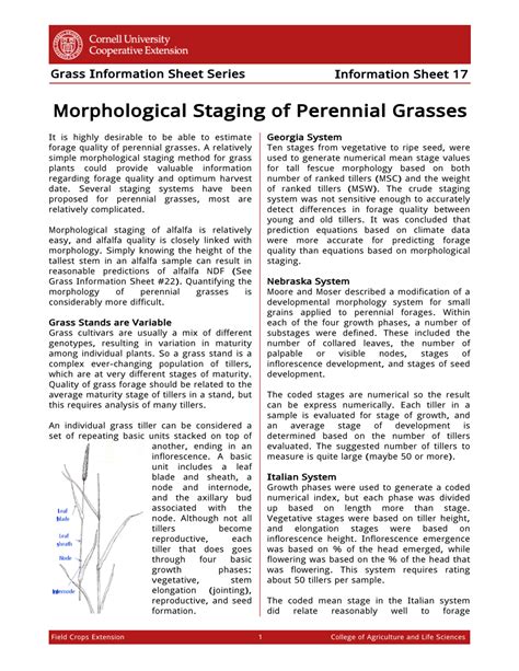 Pdf Morphological Staging Of Perennial Grasses