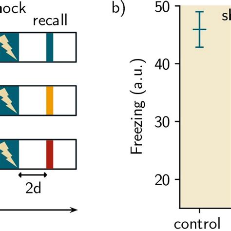 Memory Linking In A Fear Conditioning Simulation A Simulation Download Scientific Diagram