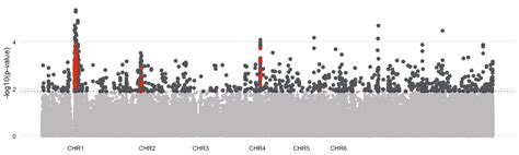Parallel Urban Adaptation From Phenotype To Genotype In Anolis Lizards Anole Annals