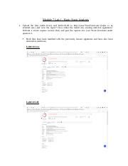 Module 7 Lab 1 Basic Static Analysis Docx Module 7 Lab 1 Basic