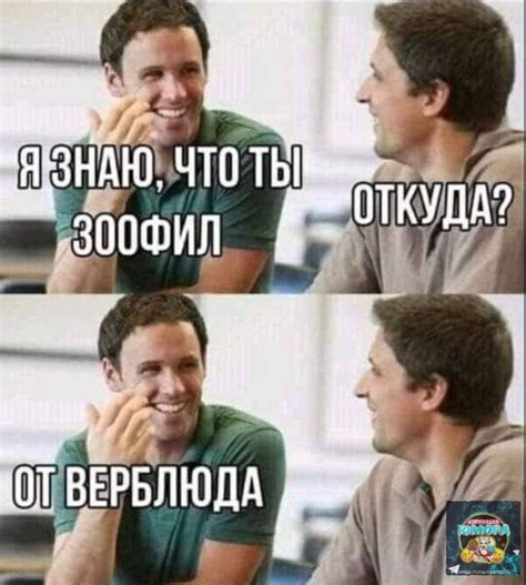 Пин от пользователя Lusine Azaryan на доске Humor Смешные мемы Мемы Мужской юмор