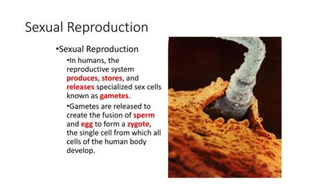 HAPPY MONDAY E1 Bellwork Get A Laptop 1 For Each Table Ppt Download