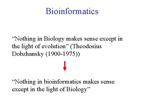 Introduction To Bioinformatics Lecture 5 Pairwise Sequence Alignment