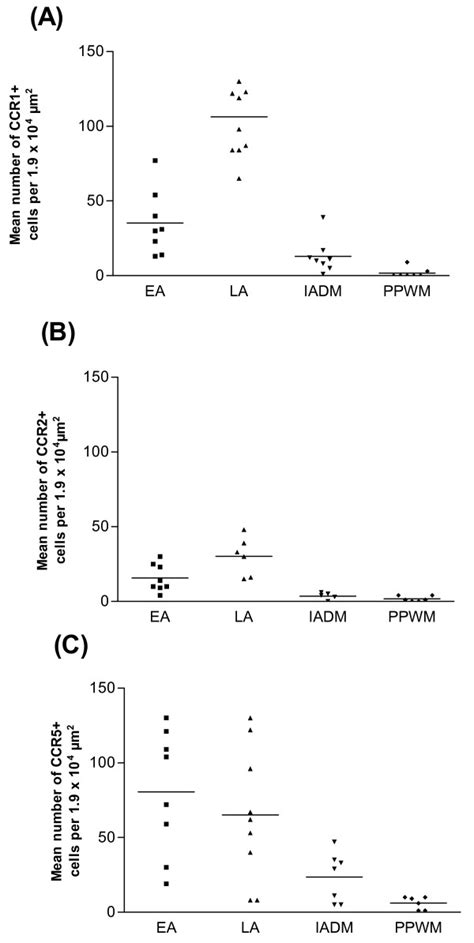 Quantification Of Ccr1 Ccr2 And Ccr5 Mrna Expressing Cells In Defined Download Scientific