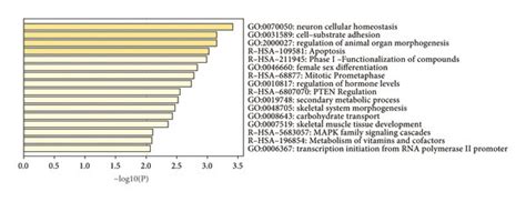 Circrna Mirna Mrna Network And Biological Function Prediction Of Download Scientific Diagram