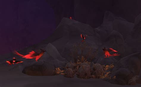 Phoenix Hatchling Npc World Of Warcraft