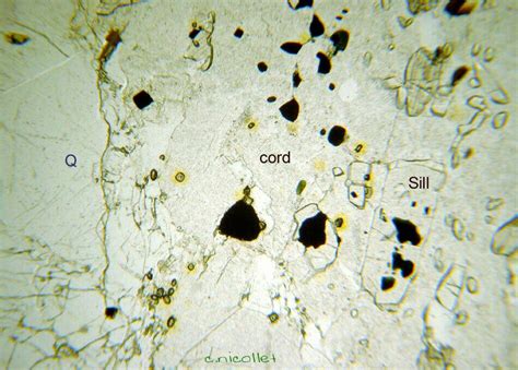Cordierite Thin Section