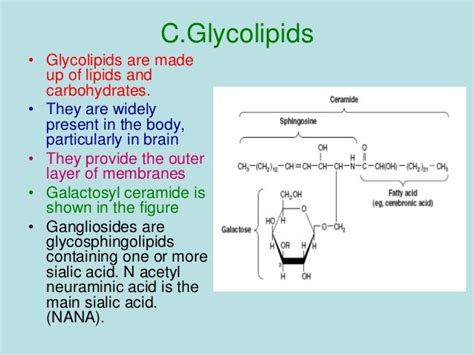 Lipids Chemistry Structure And Function More Detailed