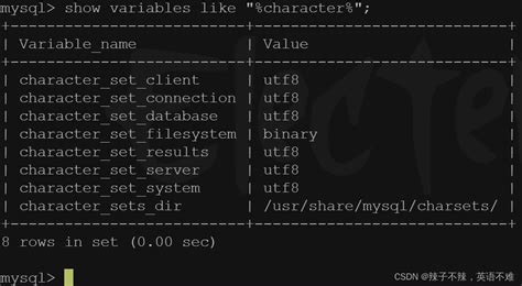 【mysql环境配置在虚拟机中】mysql虚拟机 Csdn博客