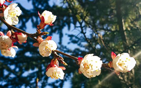 get a clean git history with a rebase workflow simon dosda