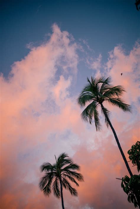 Maui Sunset Wallpapers 4k Hd Backgrounds On Wallpaperbat