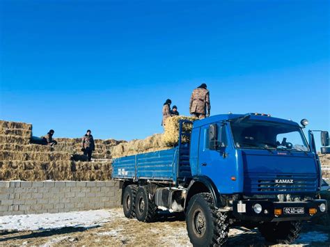 НЭМЭЛТ ХҮЧ ИЛГЭЭЛЭЭ Монгол Улсын Зэвсэгт хүчний томилгоот бүлгүүд