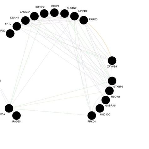 Gene Network Analysis Of Candidate Genes That Had An Association Download Scientific Diagram