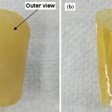 3d Printed Modified Chitosan Membranes Download Scientific Diagram