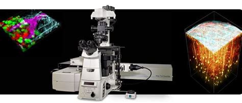 Multiphoton Confocal Microscope System A1 Mp Einst Technology Pte Ltd