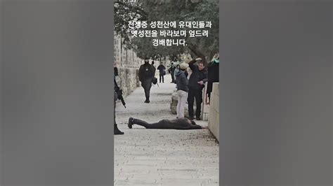 성전산 유대인 경배 한새사람 알리야 왕의대로 예루살렘 이스라엘 이스라엘회복 통곡의벽 성전산 Youtube
