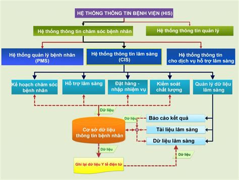 Sơ đồ Chức Năng Là Gì Một Cái Nhìn Tổng Quan Về Khái Niệm Này