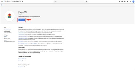 Step 33 Click On Enable To Activate The Api
