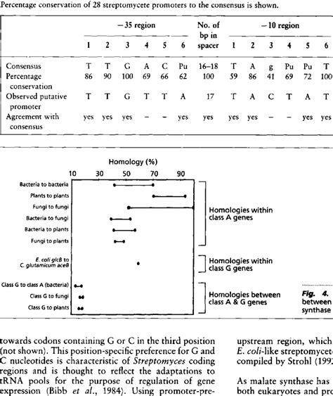 Comparison Between An E Coli Li Ke Streptomycete Promoter Consensus Download Table