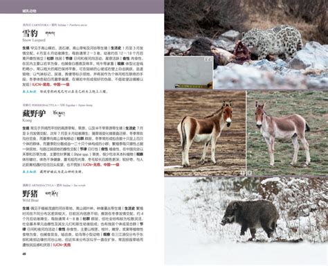 读书 在三江源，我们能看到什么？《三江源国家公园自然图鉴》生动诠释了何为“生物多样性”