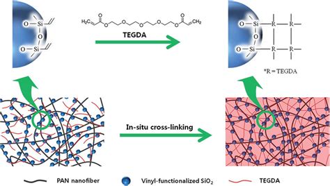 Schematic Illustration Of The Synthesis Of The Cross Linked Composite Download Scientific