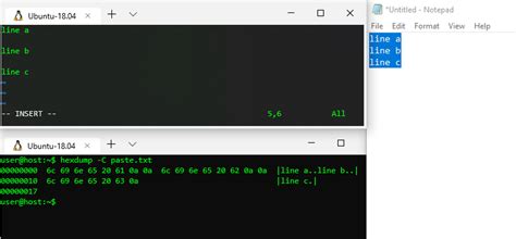 Copy And Paste In Bash Generates One Single Line · Issue 2324 · Microsoftterminal · Github