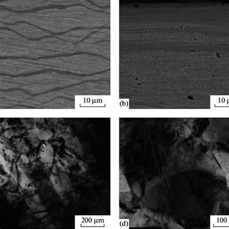 Pdf Influence Of Cold Rolling And Annealing On The Microstructure