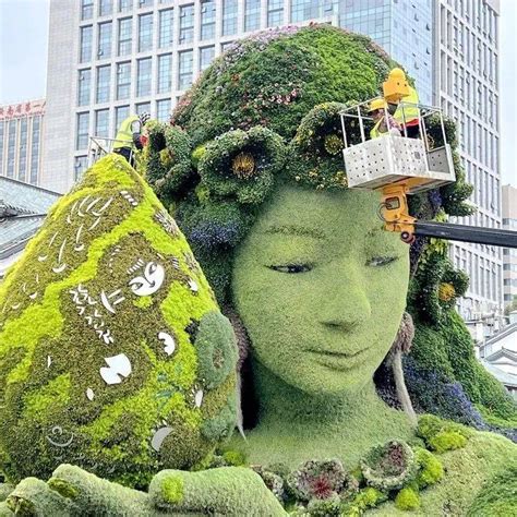 金马坊的花仙子换新衣迎新春 昆明文旅动态 花坛 花卉 进行