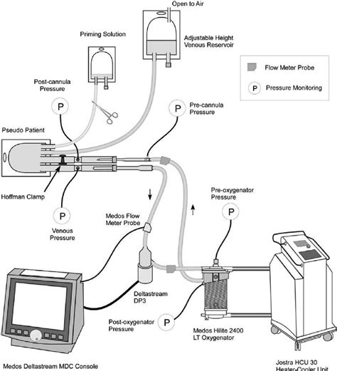 Experimental Circuit Setup Download Scientific Diagram