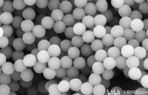 中空巯基纳米二氧化硅微球SiO2 SH 氨基功能化SiO2包覆Fe3O4磁性纳米微球制备优点 哔哩哔哩